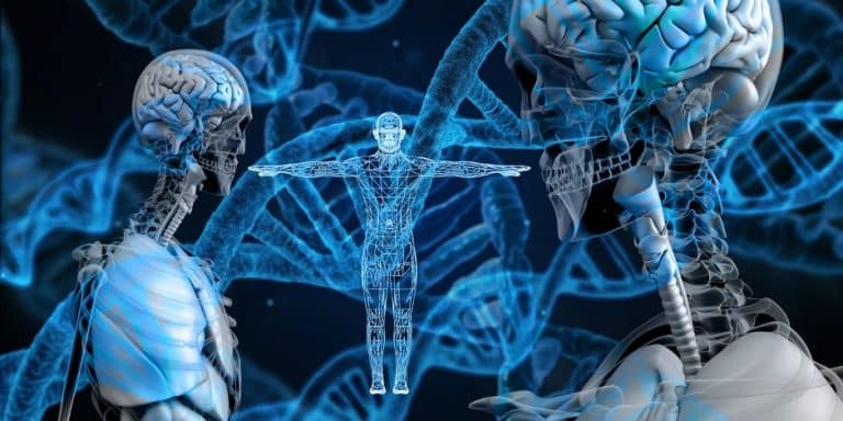 Science O Sport - L'actu sportive